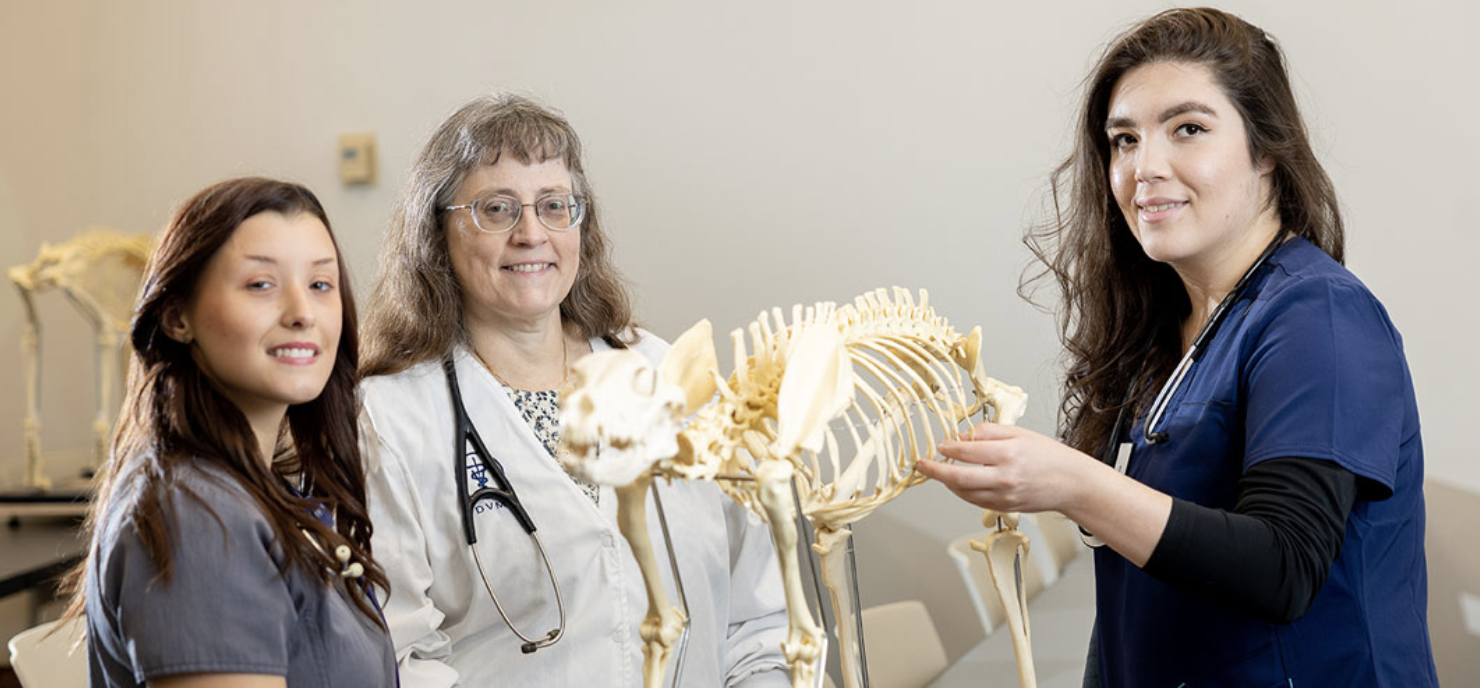 Alaska’s First Veterinary Technician Degree Program is Coming to Mat-Su ...
